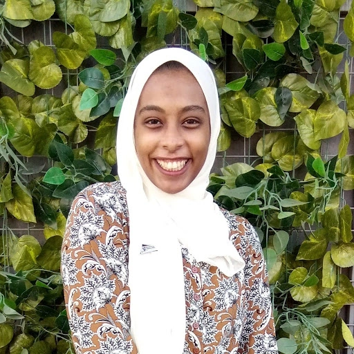 CodeCombat - Coding games to learn Python and JavaScript